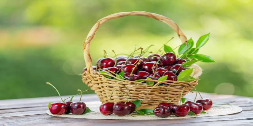 Sweet or Tart? The Best Cherries to Pair With Chocolate