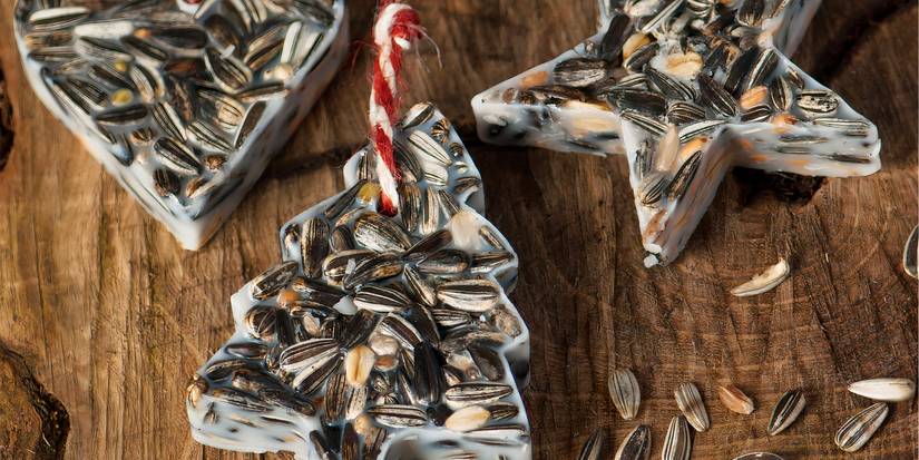 Turn Christmas Ornaments Into DIY Bird Feeders
