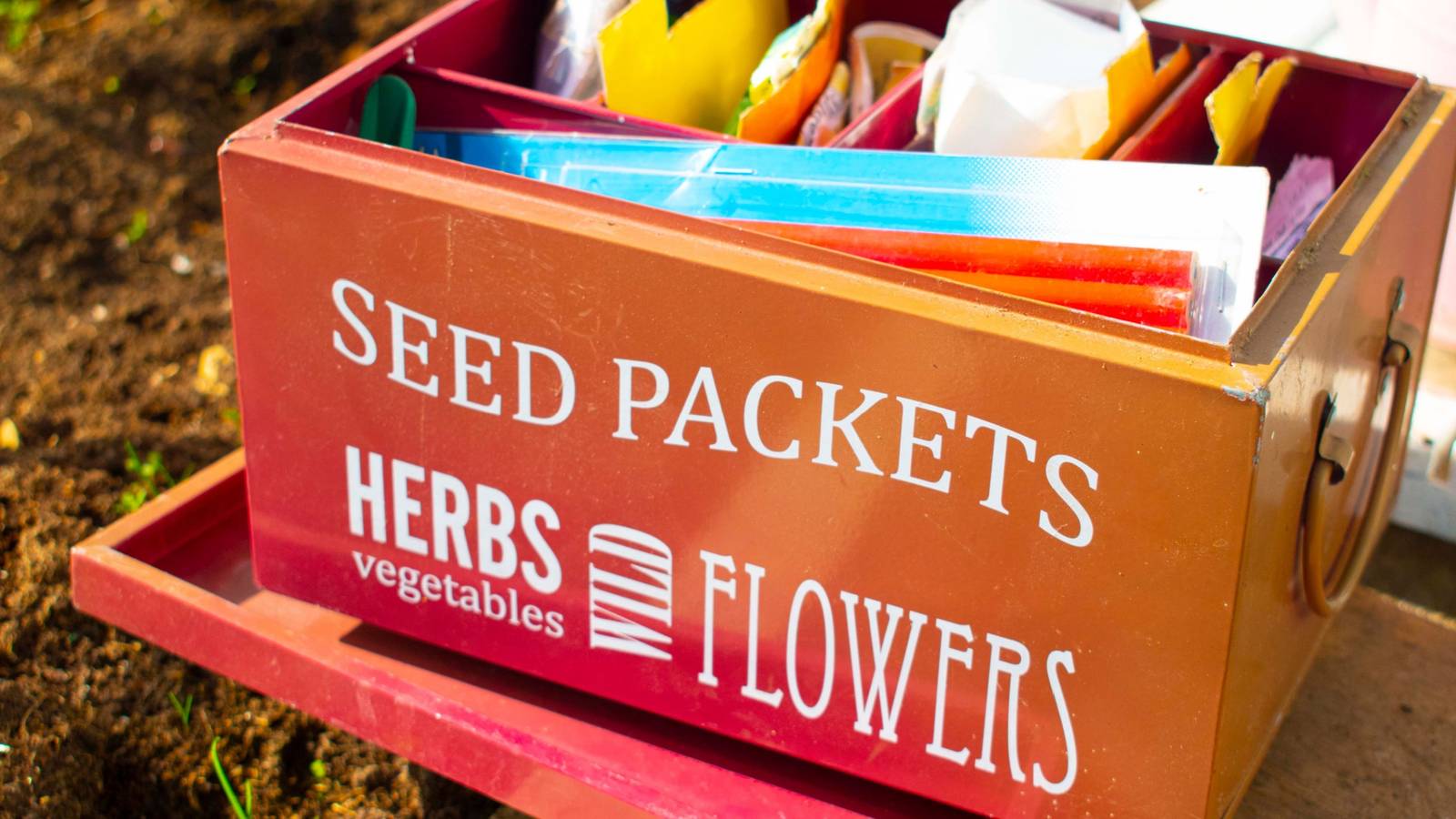 5 Seed Gift Ideas That Grow Long After the Holidays End
