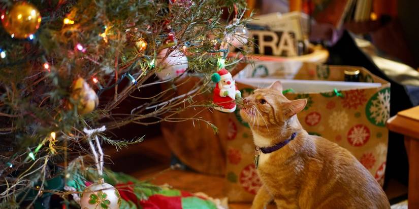 Are Artificial Christmas Trees Safe for Pets? Tips and Hazards Explained