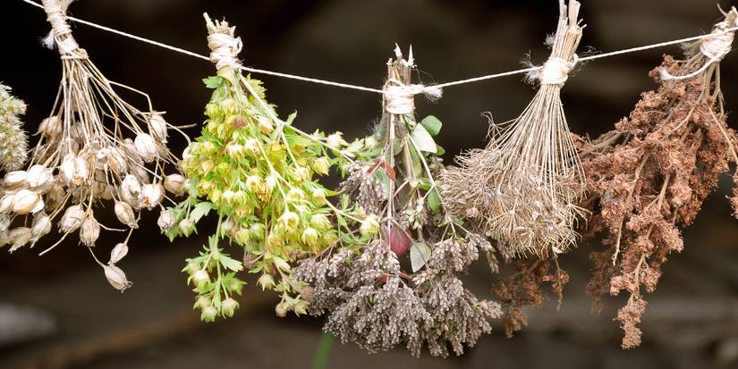 5 Festive Ways to Incorporate Herbs into Your Holiday Decor