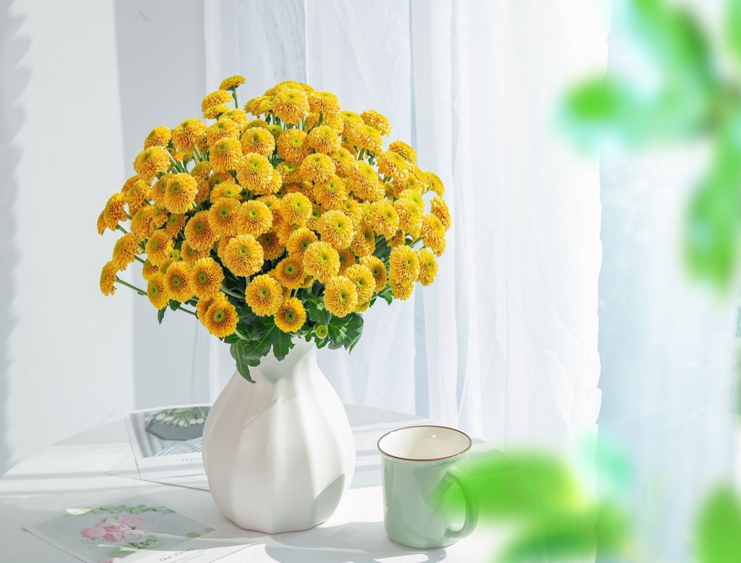 The World's Ugliest Flowers (That You Can't Grow At Home)