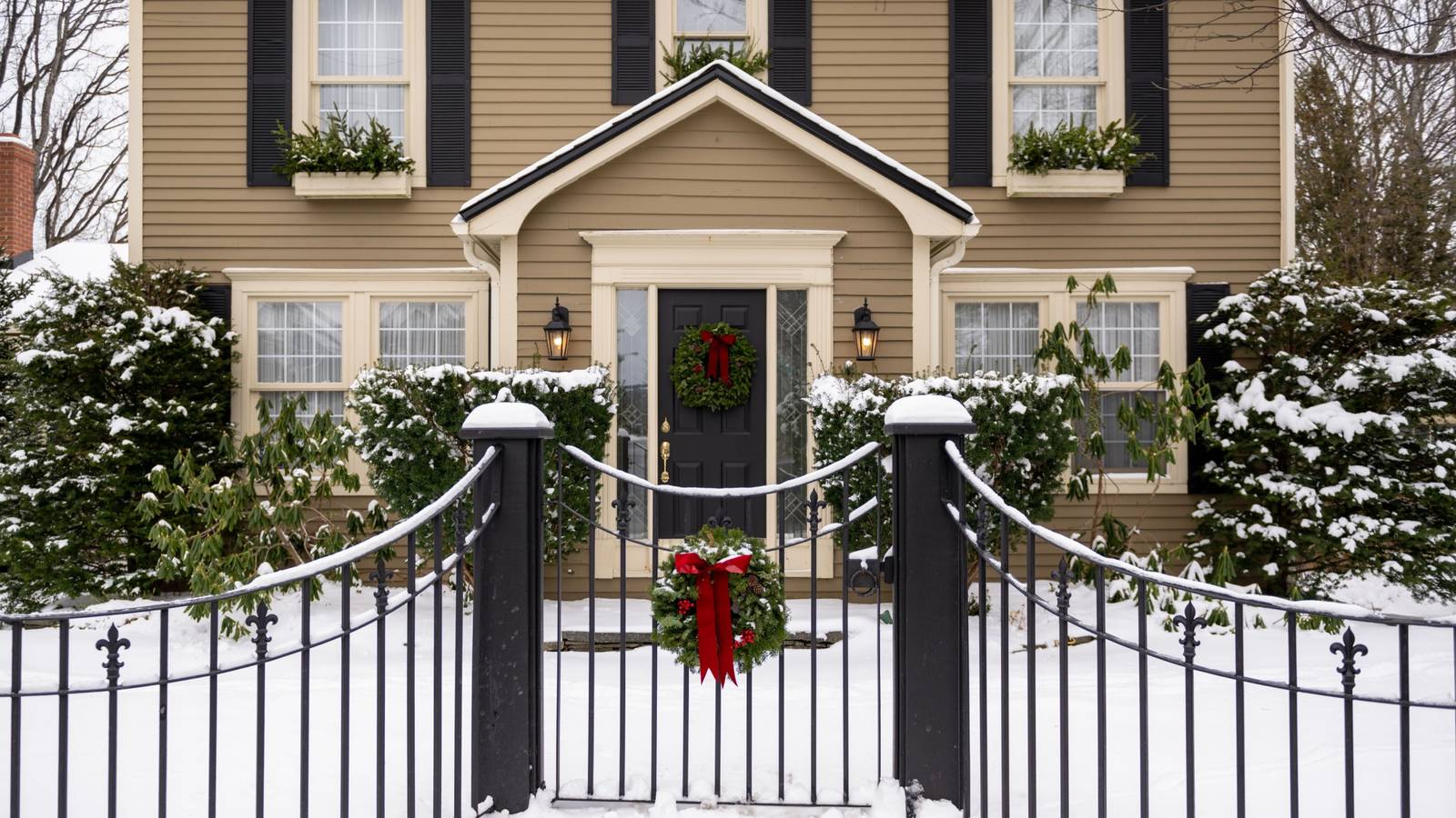 Front Yard Landscaping Ideas That Shine in Winter