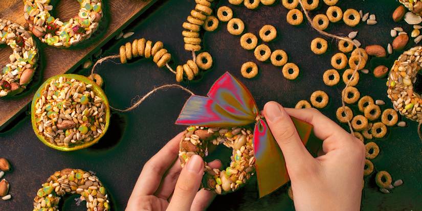 Turn Christmas Ornaments Into DIY Bird Feeders