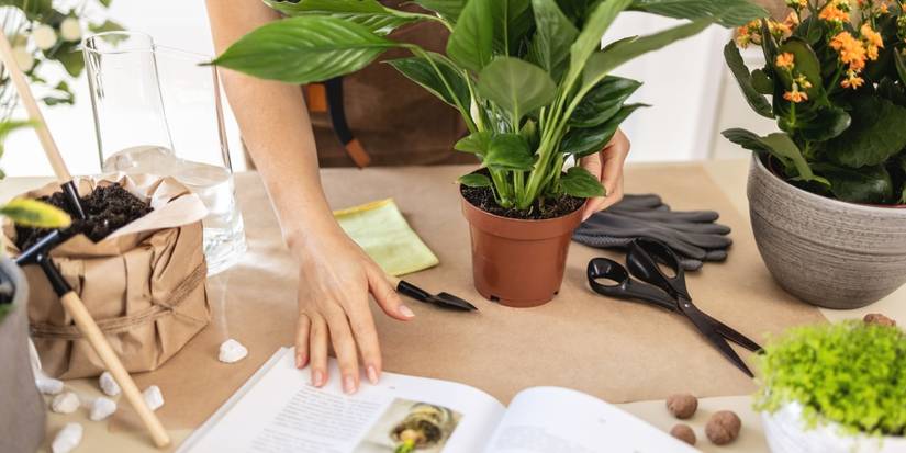 Best DIY Gardening Books for Thriving Backyards and Easy Projects