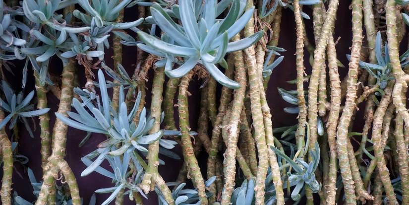 Etsy Color of the Year: Patina Blue in Home Decor and Gardening