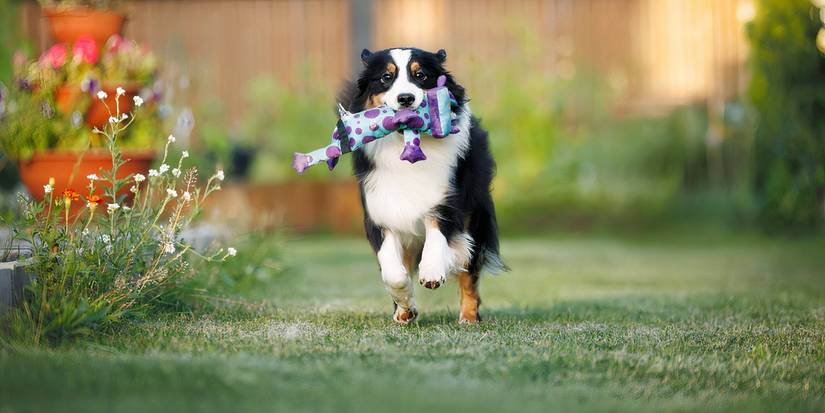 6 Best Side Yard Landscaping Ideas You'll Love