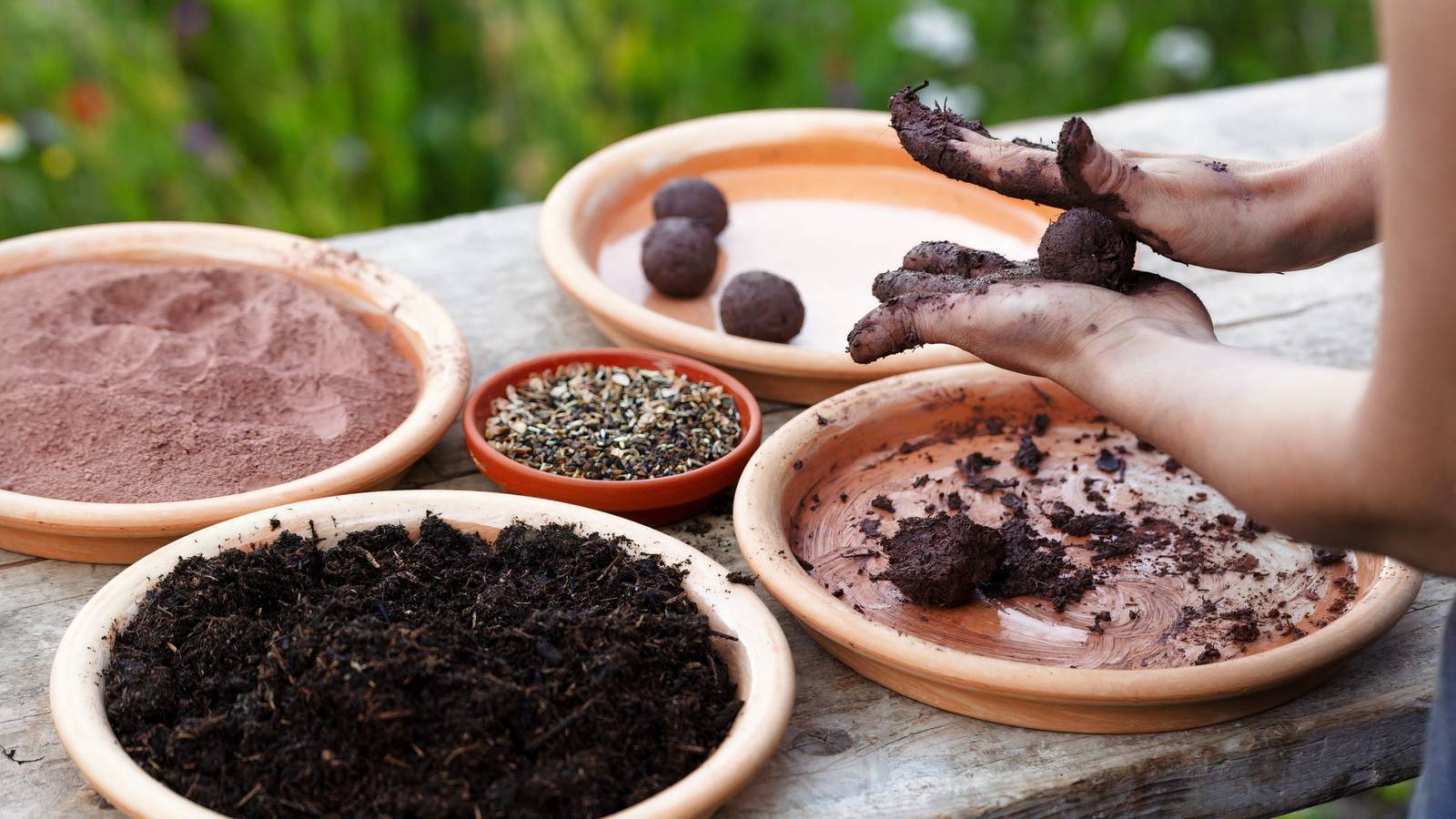 6 Spring Garden Crafts to Start Indoors This Winter