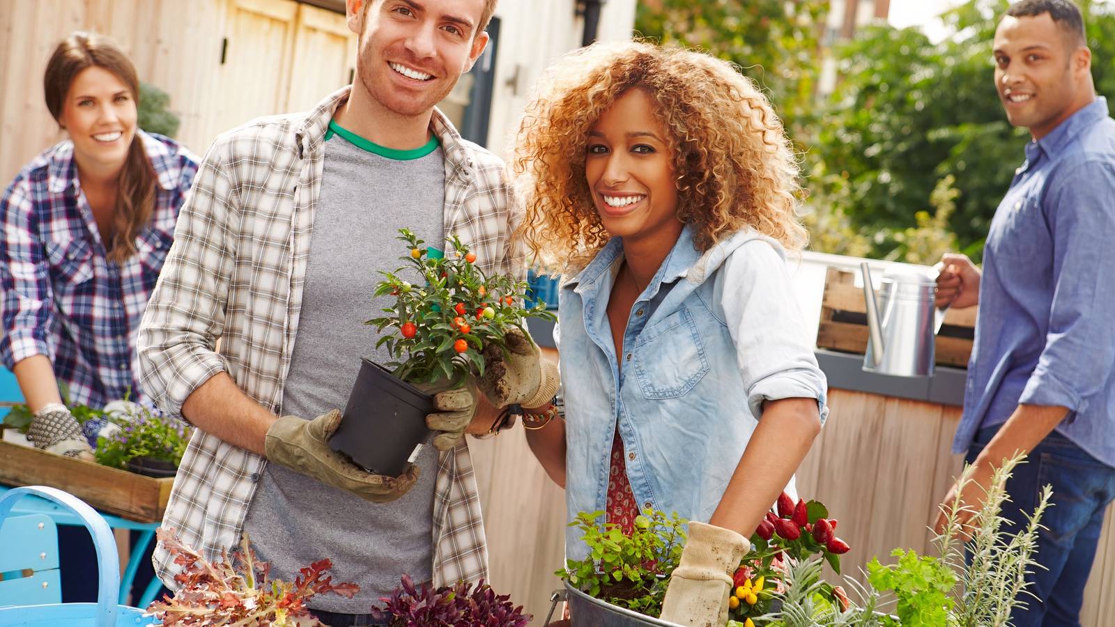 Connect with Fellow Gardeners: Join Groups, Workshops & Plant Swaps