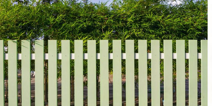 6 Bold Fence Paint Colors to Transform Your Backyard