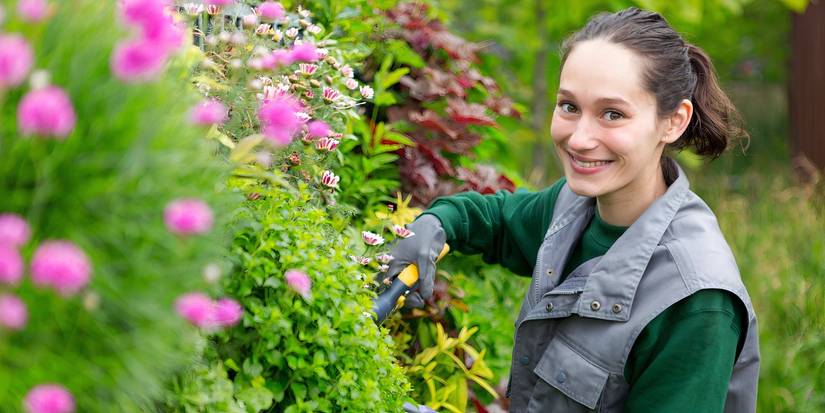 Mastering Scent Stacking: Create a Fragrant Garden Oasis