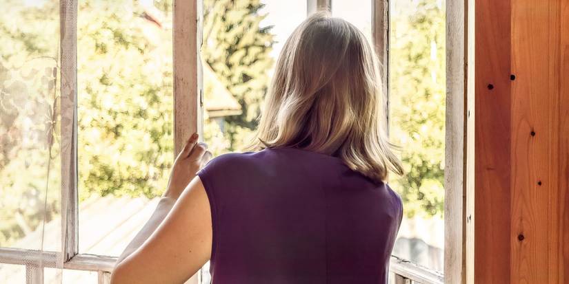 Encountering a Fox in Your Backyard: Safety Tips and Prevention