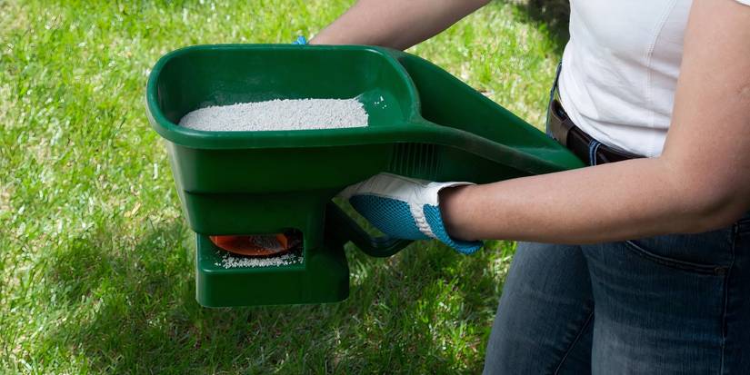 Shrink Your Lawn, Save Money: Landscaping Tips for Lower Bills