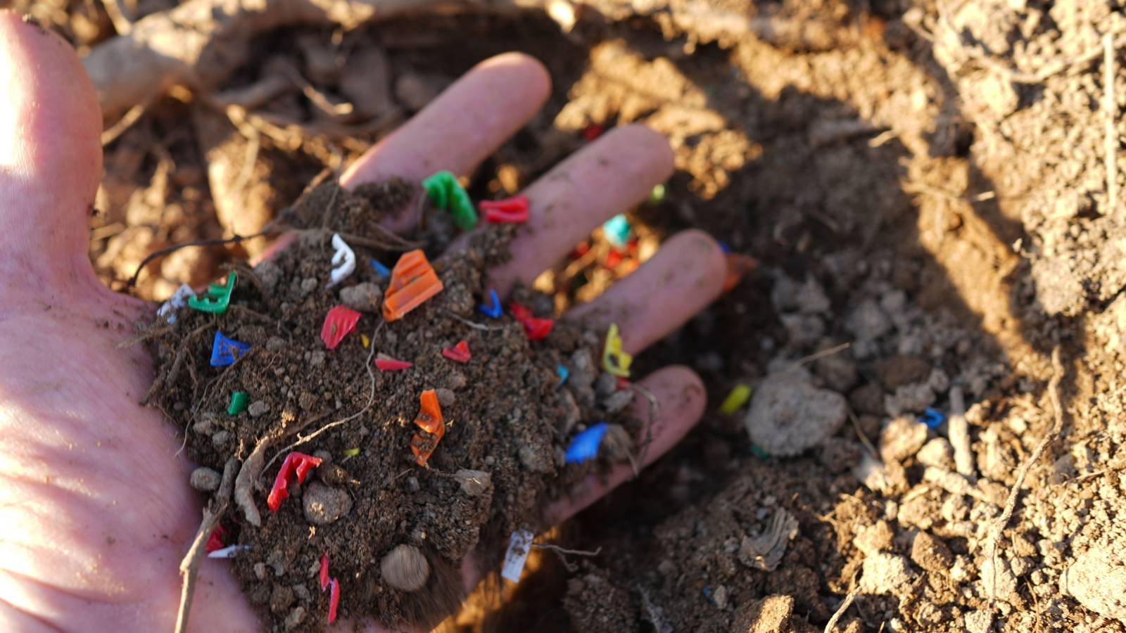 How Microplastics in Gardens End Up in Your Food