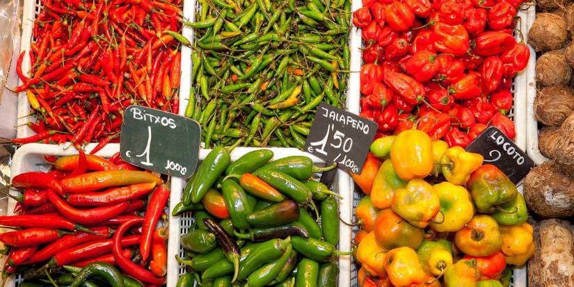 2026: The Year of the Hot Pepper - Flavor, Heat, and Garden Trends