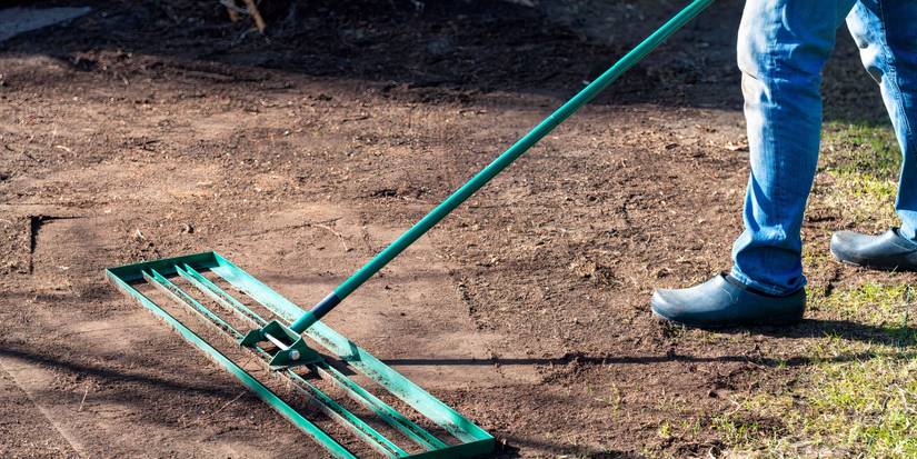 Transform Your Shaded Lawn with Lush, Low-Maintenance Moss