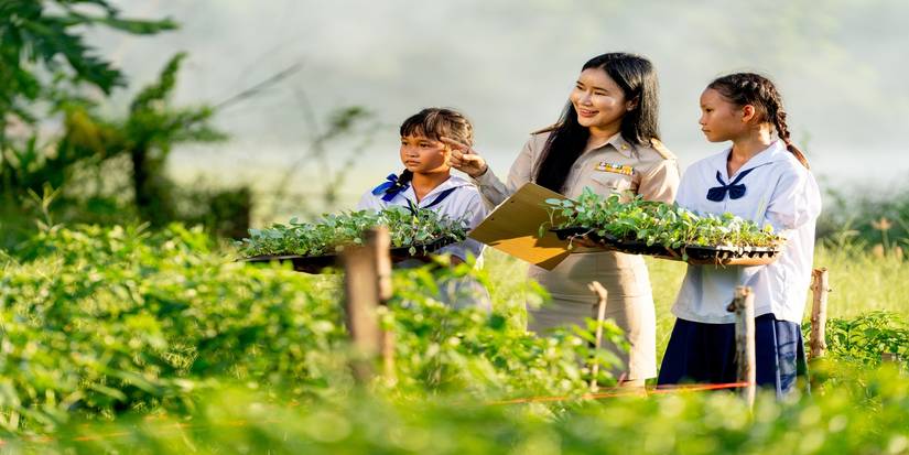 Gardening School Explained: Education Paths For Serious Plant Growers
