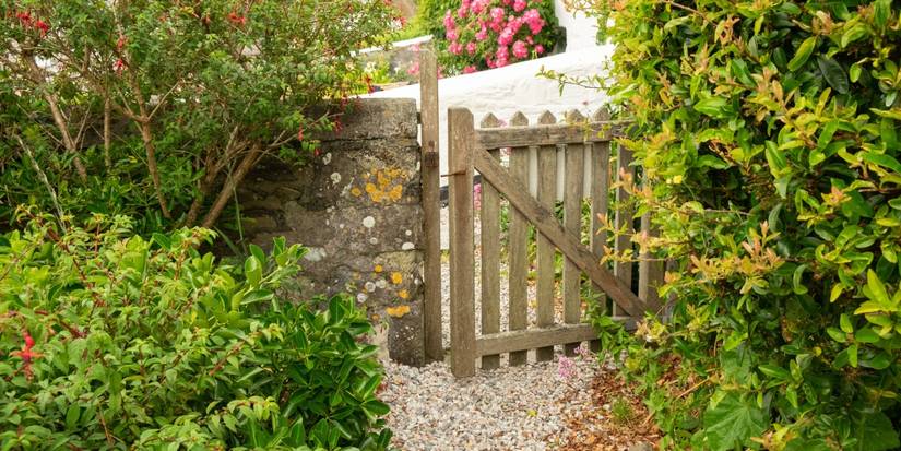 A Better Yard: Using a Garden Vision Board to Guide Design